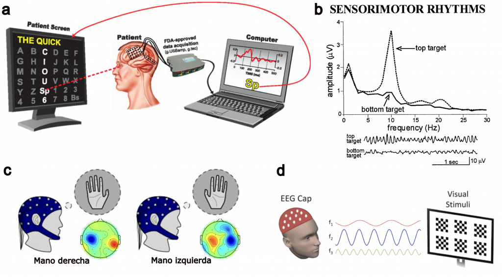 Interfaces cerebro-máquina: historia, avances y desafíos – Instituto Argentino de Radioastronomía